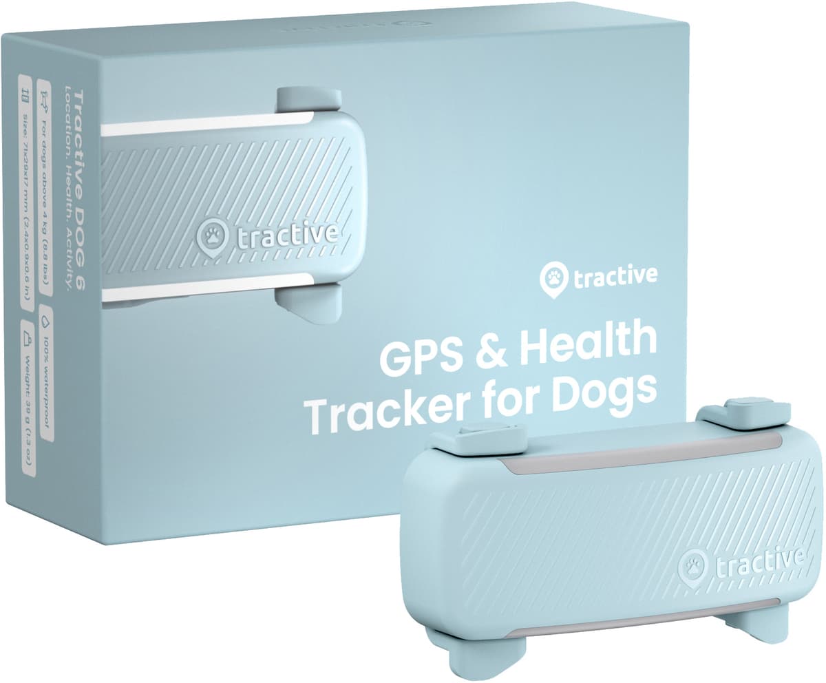 Tractive Dog 6 GPS sporer (mint) - Elkjøp | Elkjøp