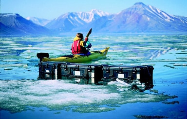 Peli™ 1650 Protector Case m/skum, sort - Elkjøp