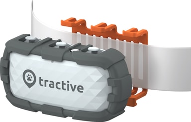 Tractive DOG XL Adventure Edition GPS tracker hund - Elkjøp