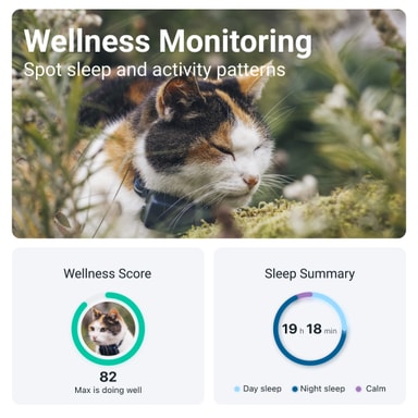 Tractive CAT Mini GPS tracker katt (blå) - Elkjøp | Elkjøp